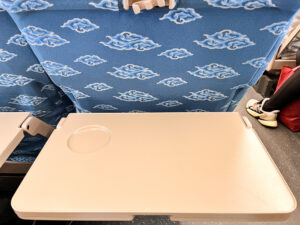 WHOOSH: Onboard the Jakarta to Bandung High Speed Rail - Urbanist Wanderer